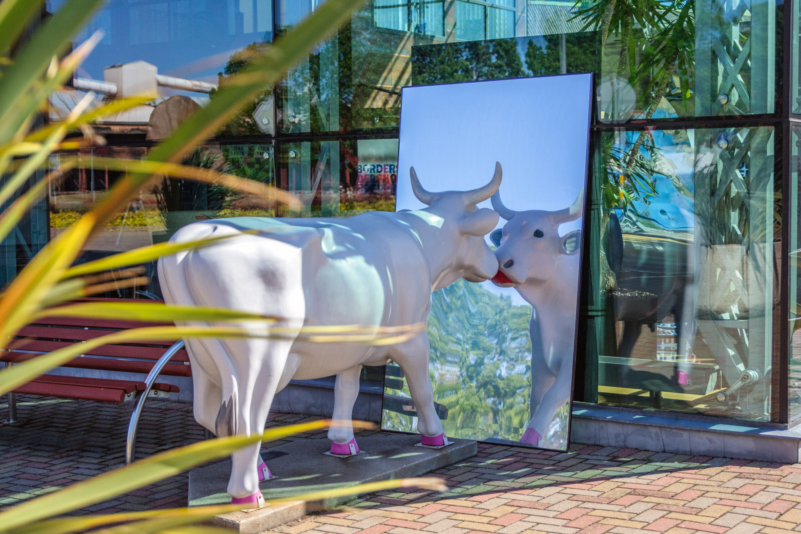 Cow - At the Mirror - VisitVentspils