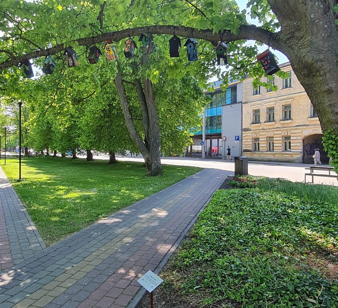 Jaunpilsētas laukumā aicina apskatīt skolēnu apgleznotus putnu būrīšus ...