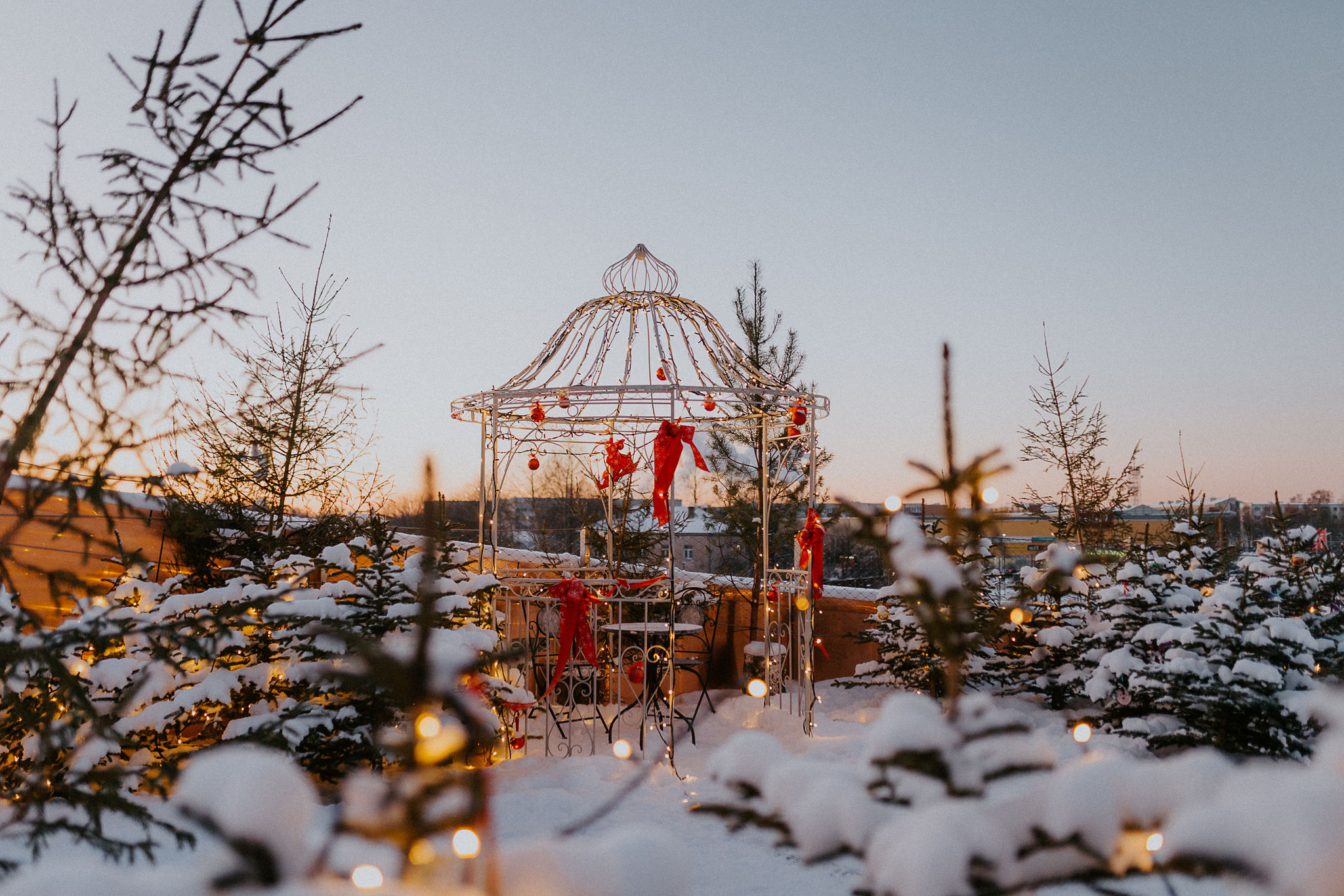 Activities in the VIZIUM “Wonderful Forest” - VisitVentspils